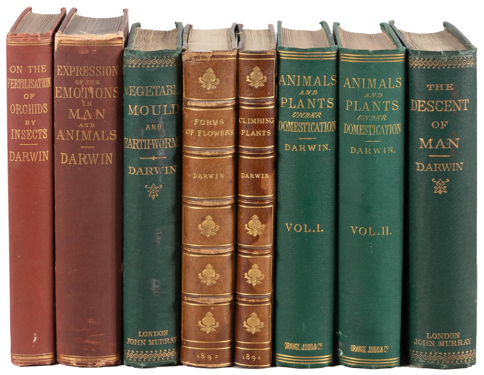 Seven Titles By Charles Darwin Auction