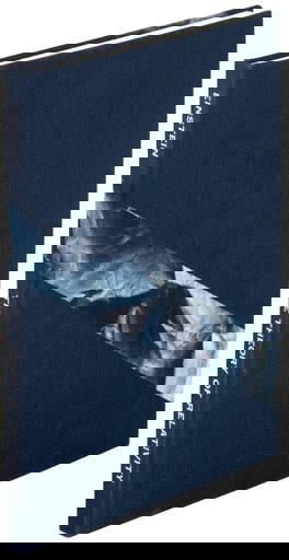 Arion Press Einstein, Theory Of Relativity