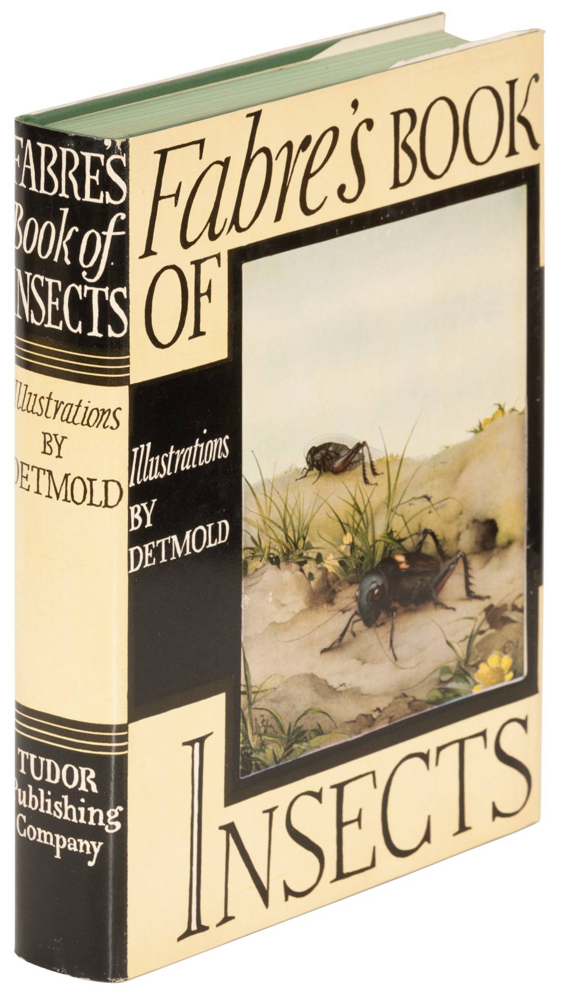 Detmold Illustrates Fabre's Insects Auction