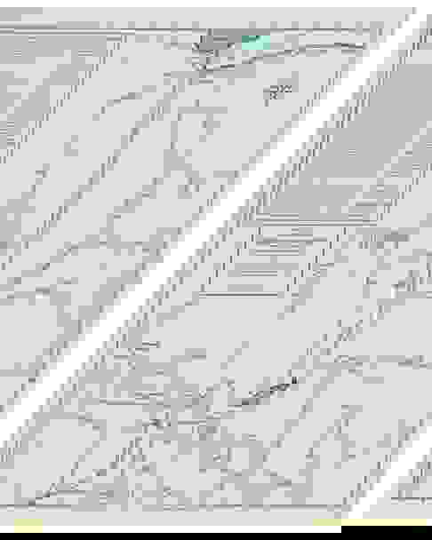 Map Of The Bohemian Grove, 1935 Auction