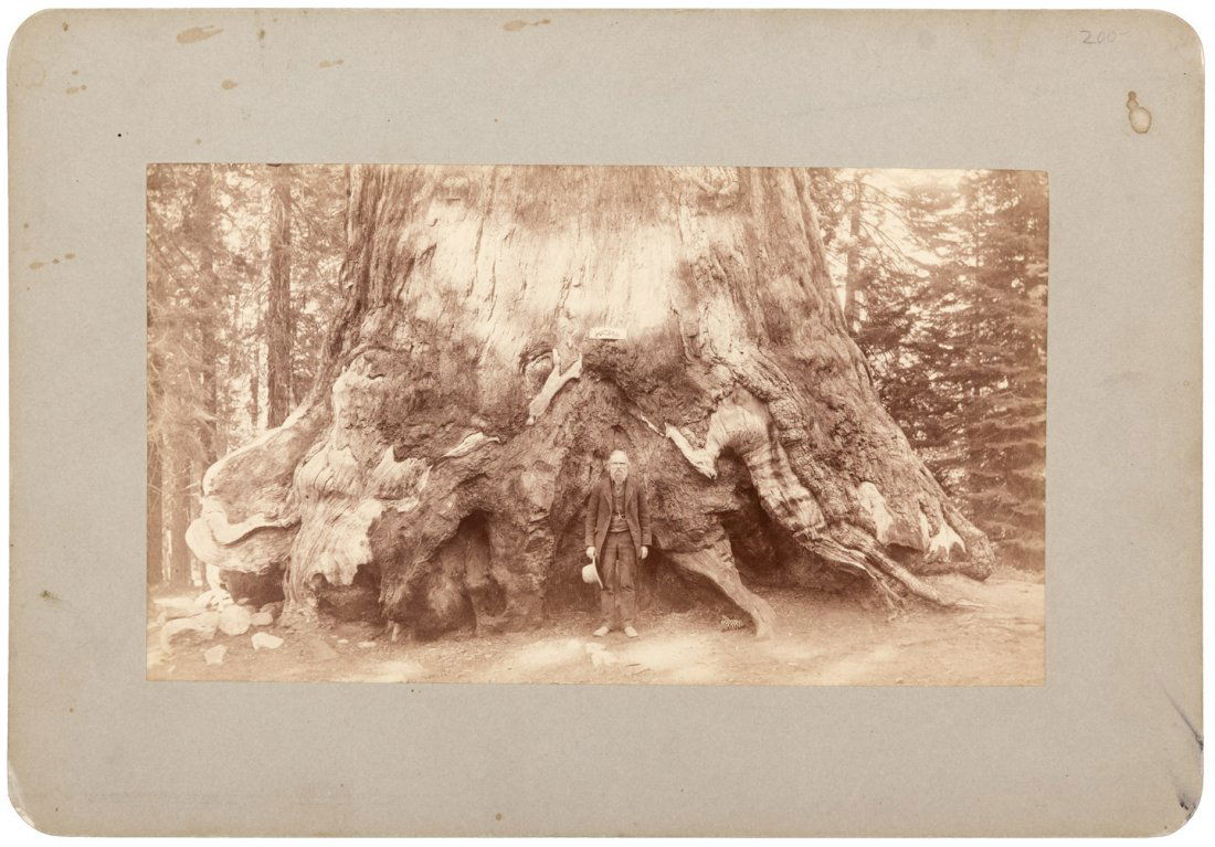 George Fiske photo of Galen Clark in Yosemite