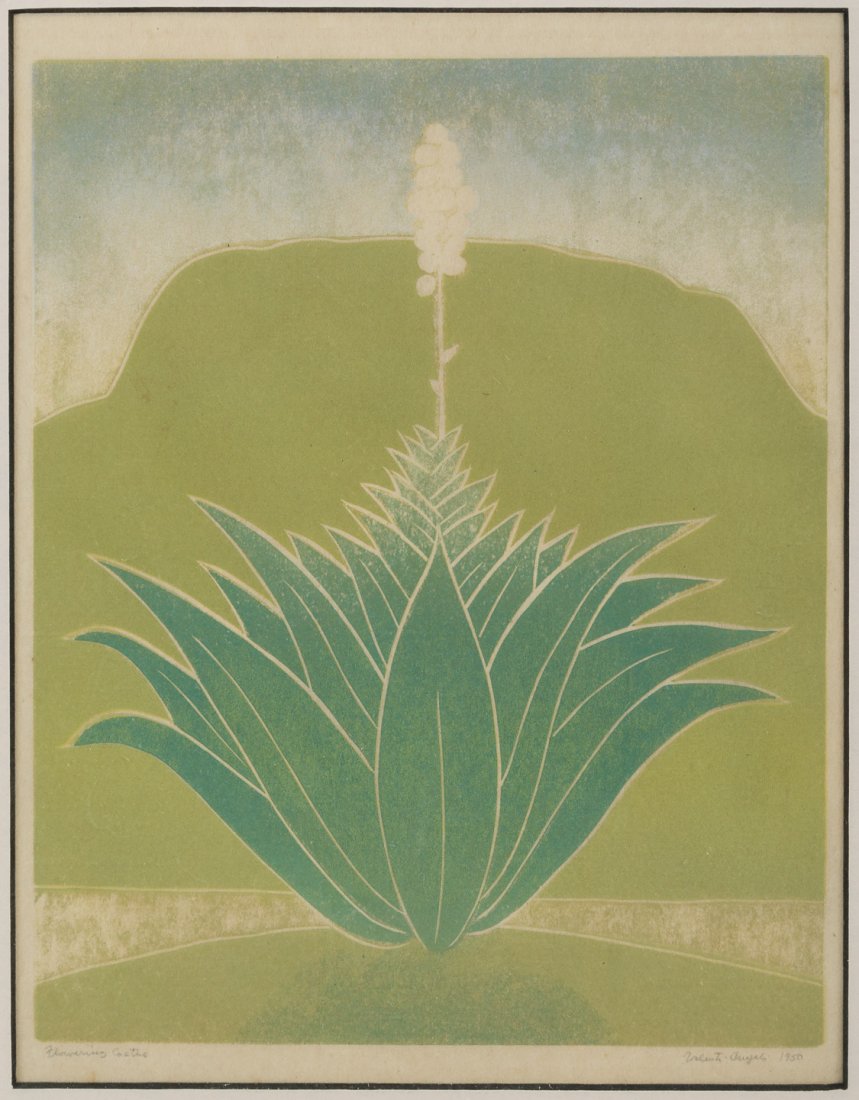 Valenti Angelo Linocut print of a Flowering Cactus 1950 - Jul 09, 2015 ...
