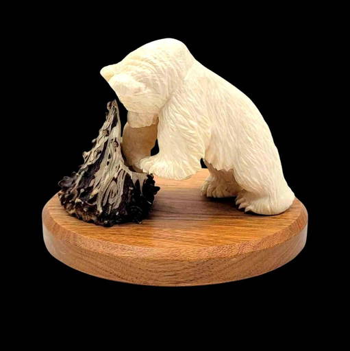 Foraging Bear Walrus Tusk Carving Dale Hanson