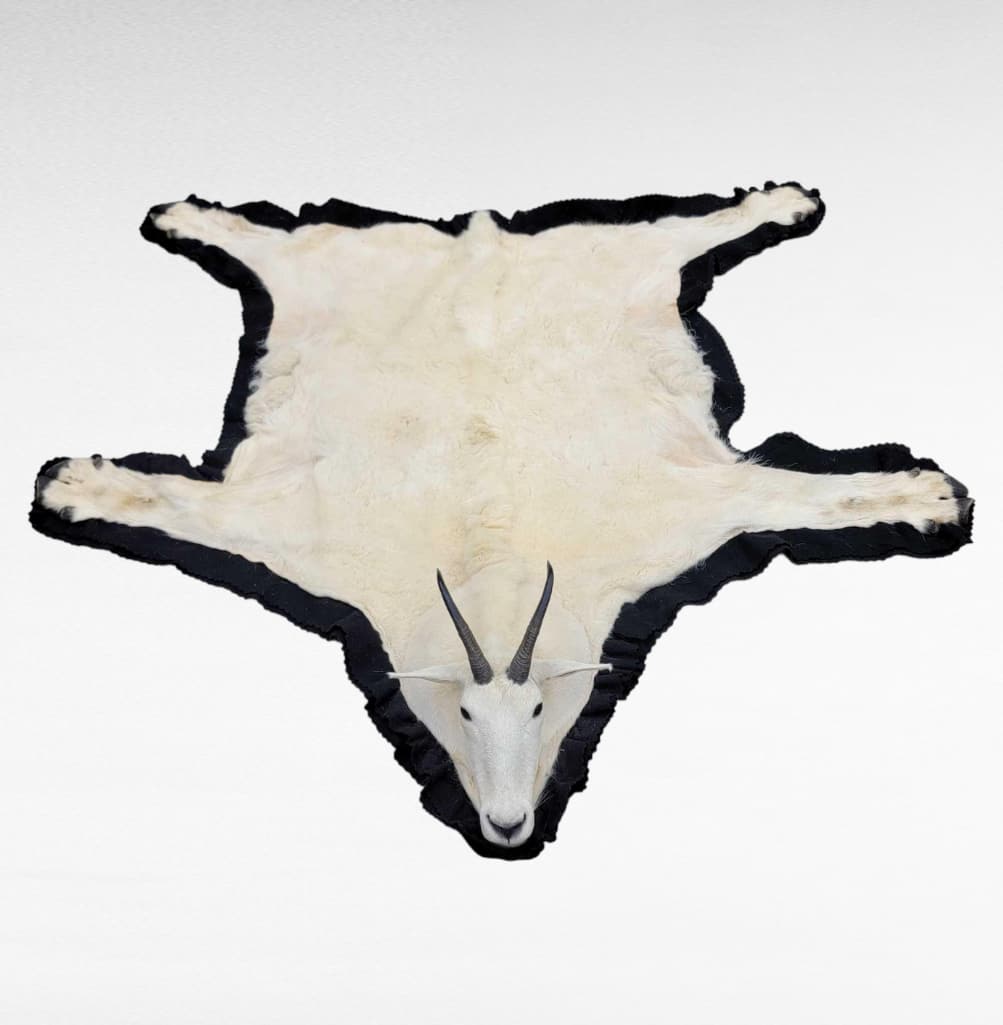 64" Mountain Goat Rug