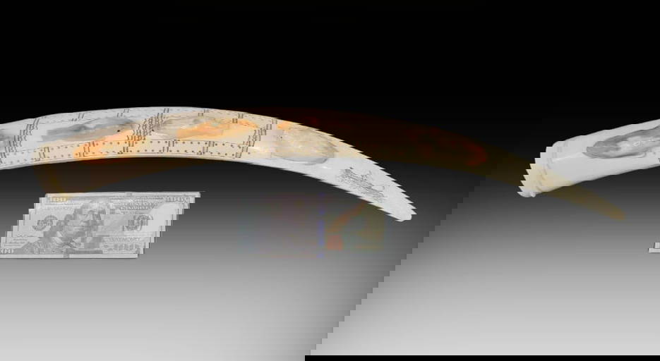 23" Walrus Tusk Cribbage Board Frank Ellanna