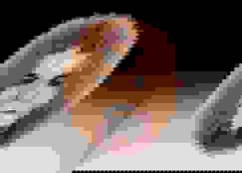 Museum Quality Anaktuvuk Pass Mask - Justus Mekiana Auction