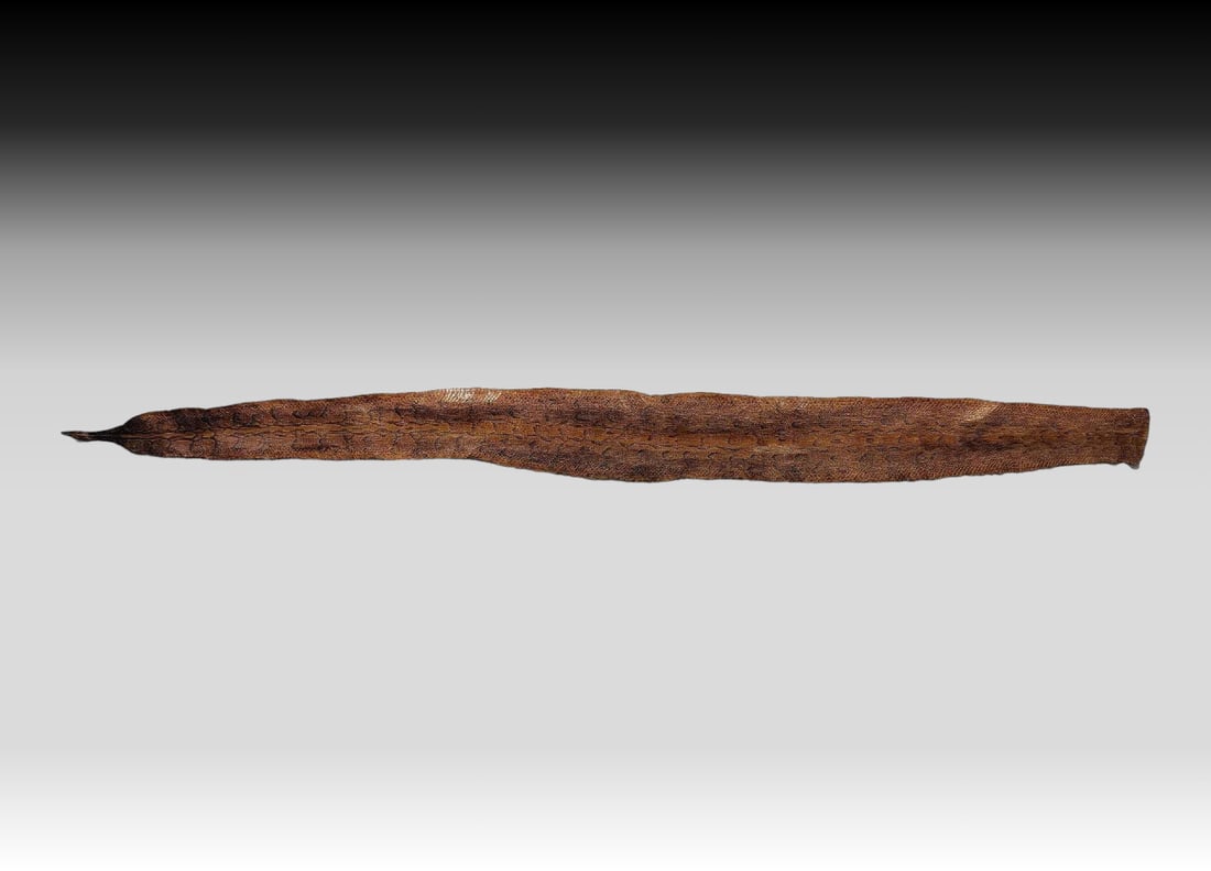 14' African Rock Python Taxidermy Snakeskin Auction