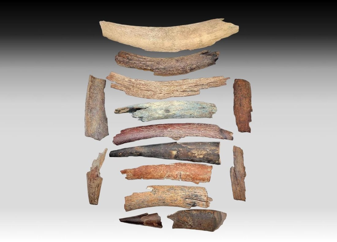 Woolly Mammoth Bark Auction
