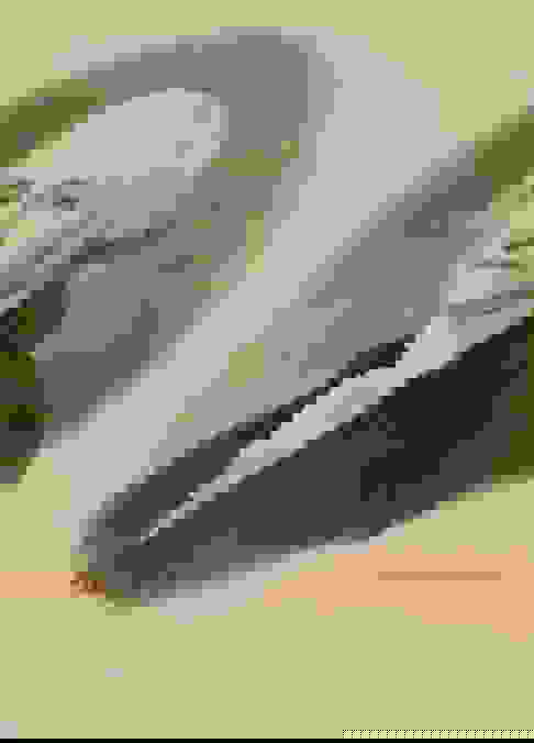 After Gilbert Stuart 'athenaeum' George Washington Portrait Auction