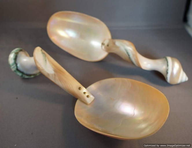 Two [2] Unique Mother Of Pearl Shell Scoops