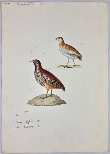 Nicolas Huet the Younger, Pair of Original Drawnings (#0116) on Jun 16 ...