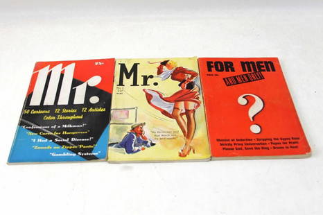 2 Vintage Mens Nazi Magazines