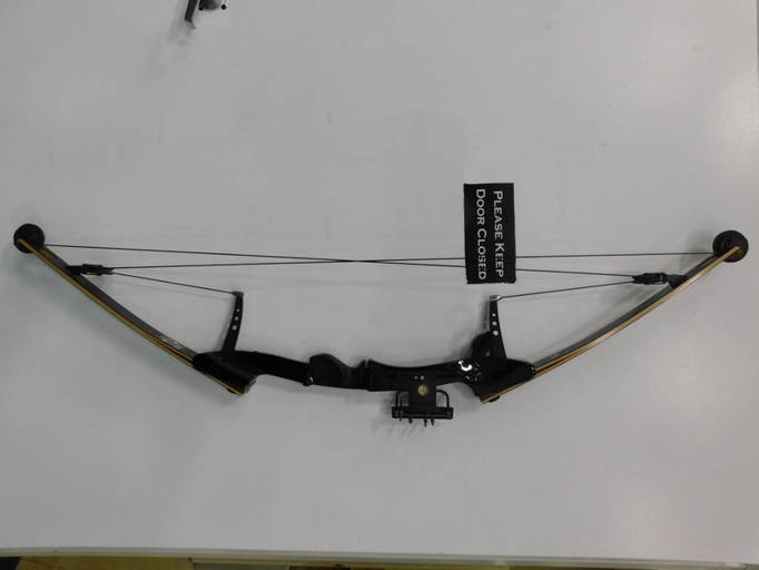 Wing Presentation Hunter Compound Bow