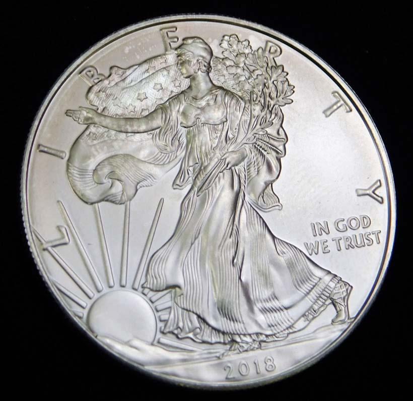 2018 American Silver Eagle 1 oz Fine Silver Round (#0198) on Jun 06 ...