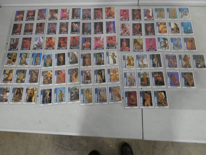 Lot of Adult trading Cards in Binder Sleeves - Thee Dollhouses of ...