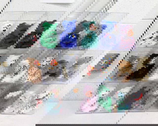 20 Beanie Babies In Acrylic Cases Mostly Bears