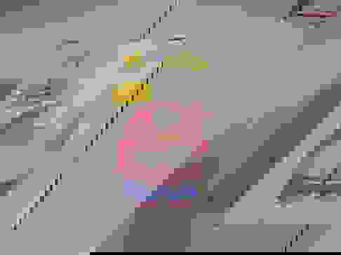 Moonies Novelty Toy Auction