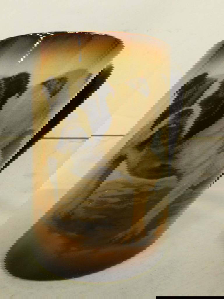 Warwick Hand Painted English Bulldog Beer Stein Circa 1900 Antique Auction