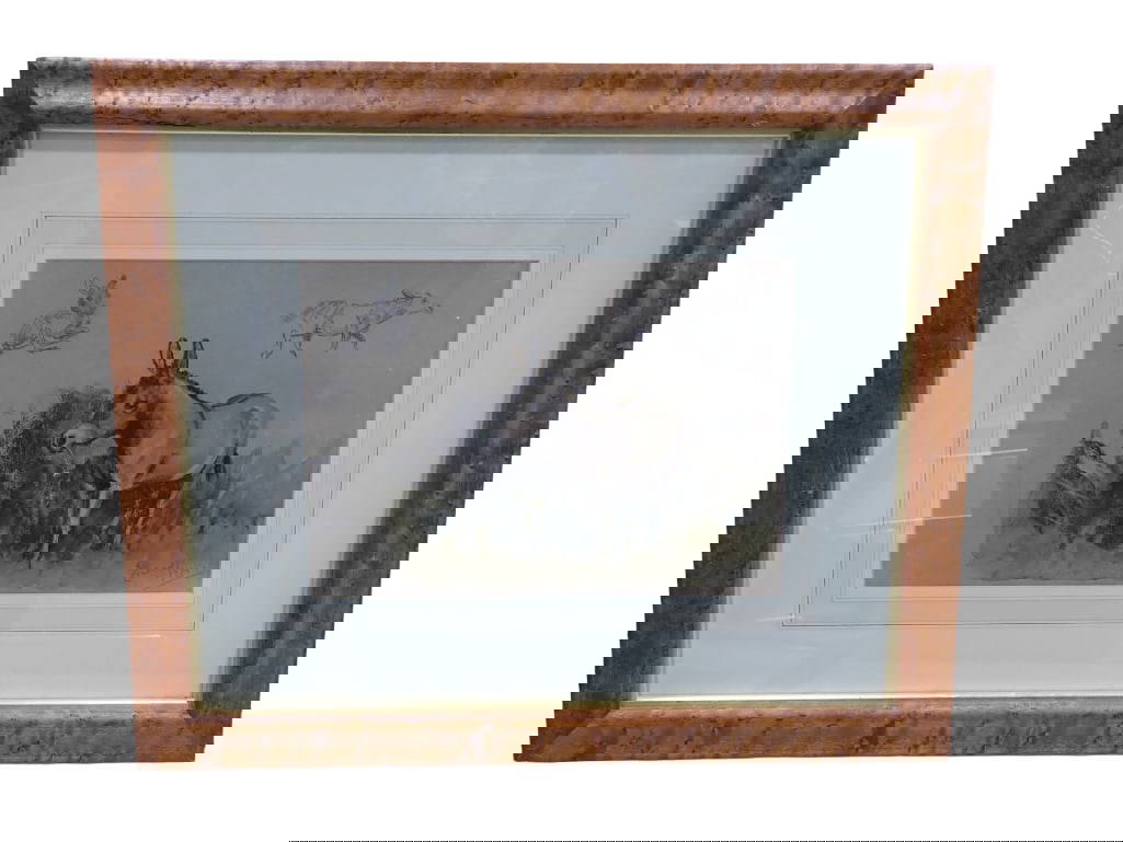 Michael Lyne (british, 1912-1989), Study Of A Donkey; Watercolor ...