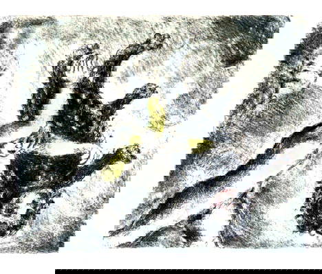 Marc Chagall (russian/french 1887 1985) Samson Et L