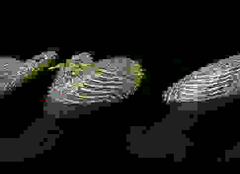 A Pair Of Enameled Silver "quail" Boxes 銀地琺瑯鵪鶉盒 Auction