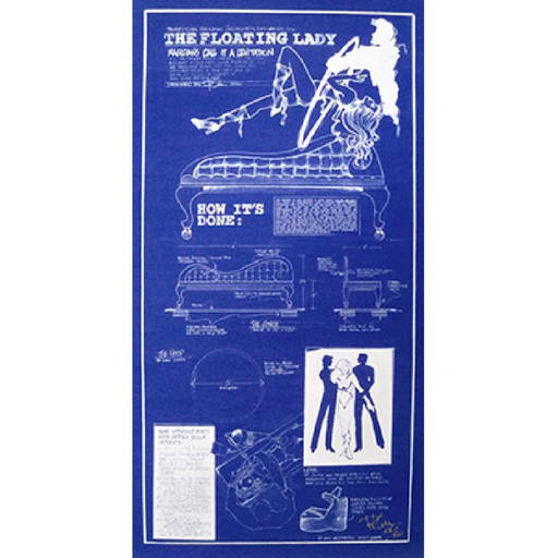 Levitation Poster, (42â€³ X 22â€³) Autographed By Paul