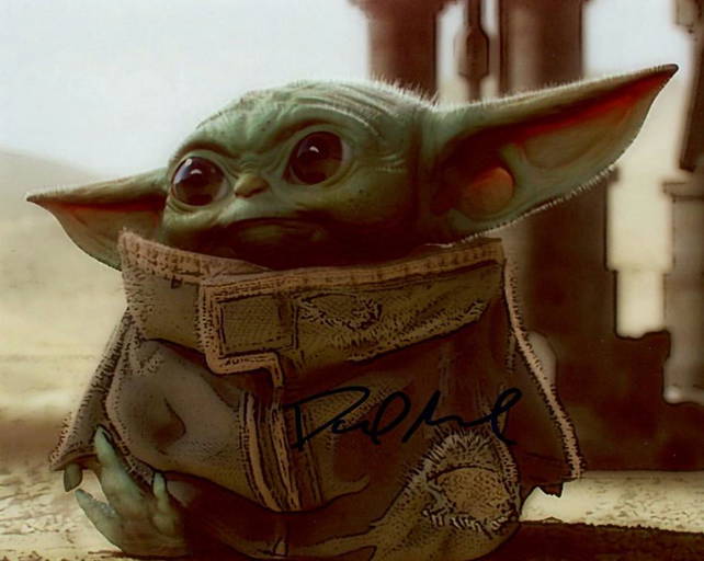 David Acord THE MANDALORIAN In Person Signed Photo (#0046) on Jan 22 ...