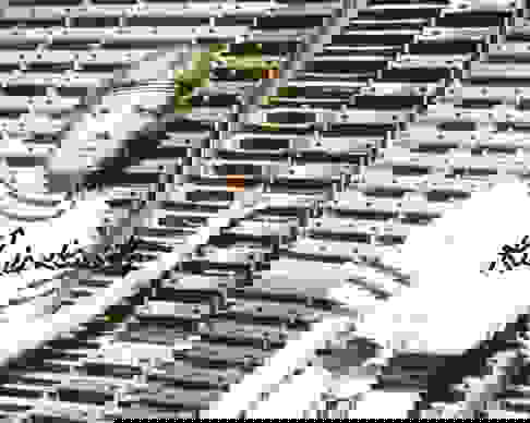 Rula Lenska Dr. Who In Person Signed Photo Auction