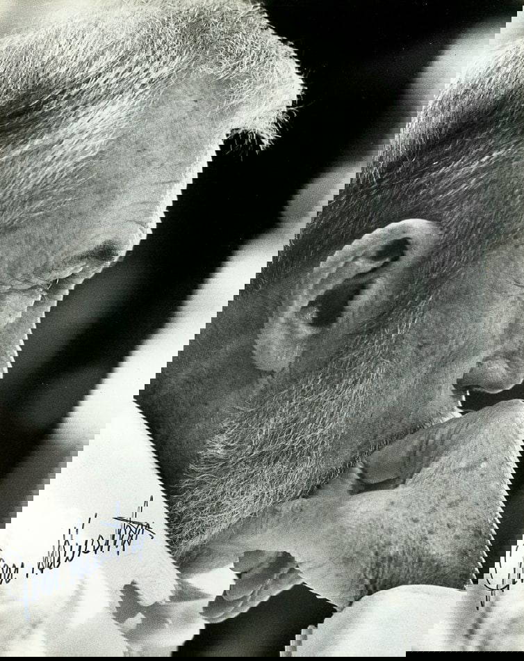 John Huston (1906-1987) Chinatown / Prizzis Honor Signed Photo Auction