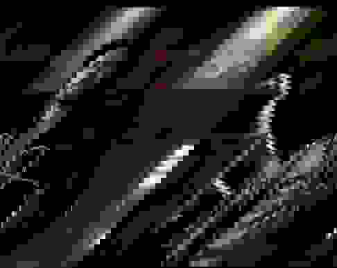 Henry Ian Cusack The 100 In Person Signed Photo Auction