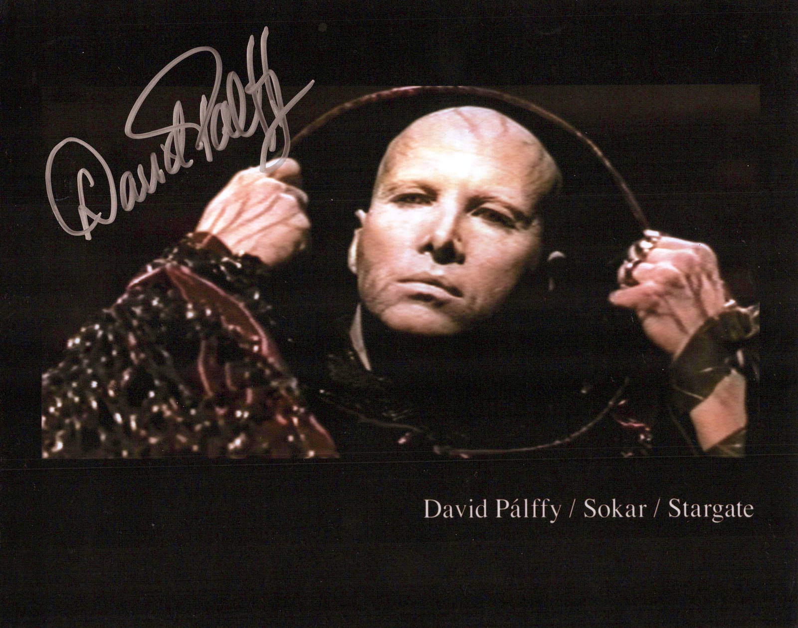 David Palffy Stargate Sg-1 In Person Signed Photo Auction