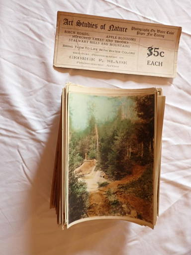 George & Slade Art Studies of Nature (#0276) on Dec 07, 2022 | Central ...