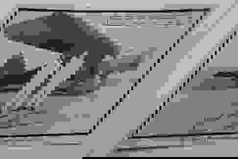 John Polando And Russell Boardman Signed Card Auction