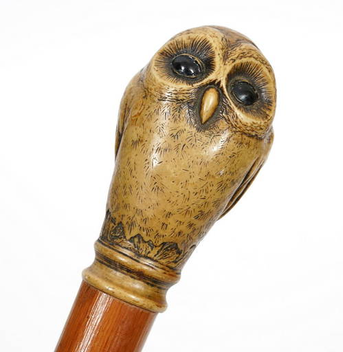 Carved Wood Owl On Knotted Wood Cane