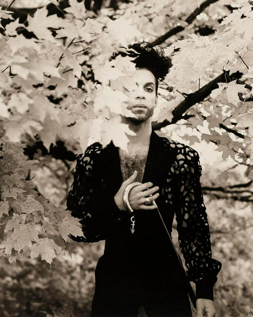 HERB RITTS, 1991 Vintage PRINCE - Jun 27, 2021 | Luxury Fine Art in FL