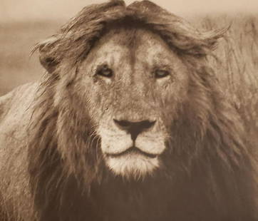 Herb Ritts, Africa 29, 1993, Photo Engraving