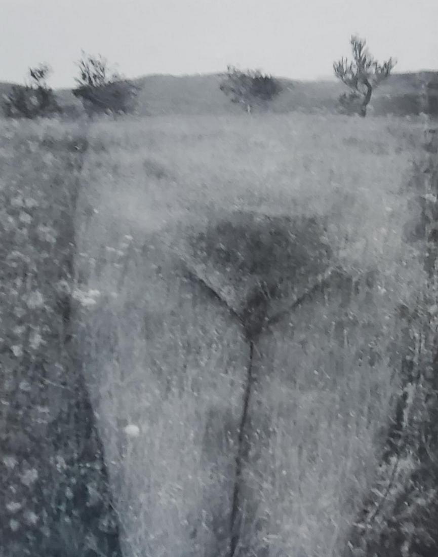 Harry Callahan, Eleanor, Aix En Provence, France, 1958