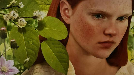 Ruud Van Empel, World#19, 2006