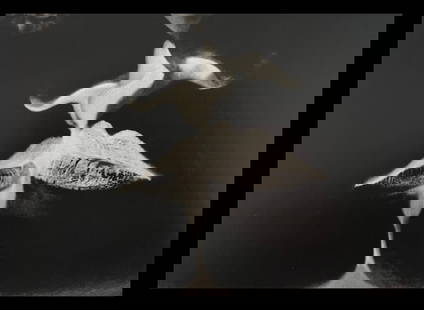 Man Ray "solarized Nude"print Auction