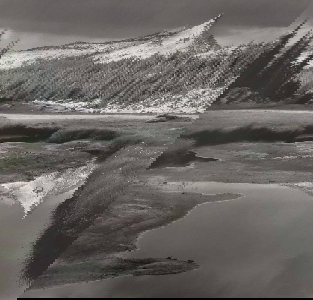 Ansel Adams, Columbia Finger Pool, Yosemite National Park, California ...