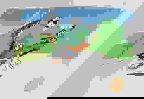 Disney Goofy Soccer Limited Edition Sericel Animation Art Cel Auction