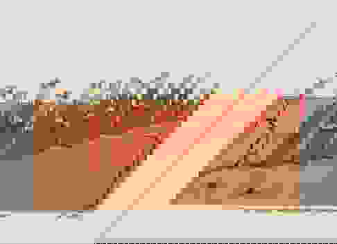 Dr. Seuss 'the Bee Watcher' Signed And Numbered Auction