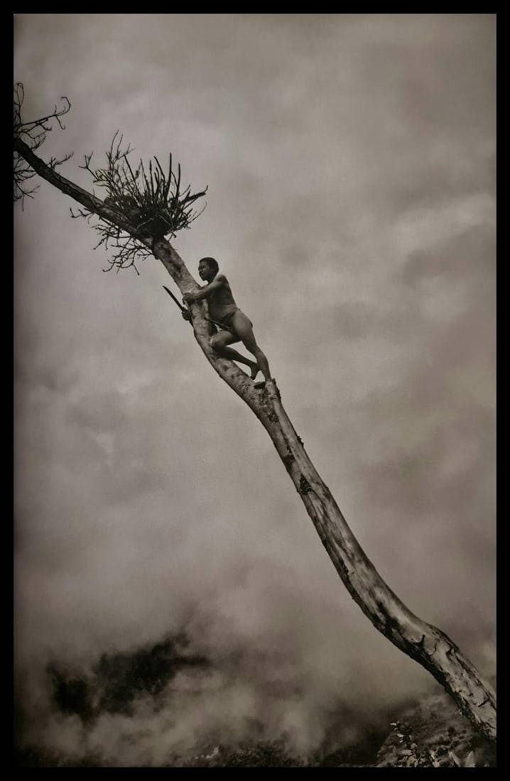 Sebastian Salgado, Yali Man, West Papua, Indonesia, 2010 Auction