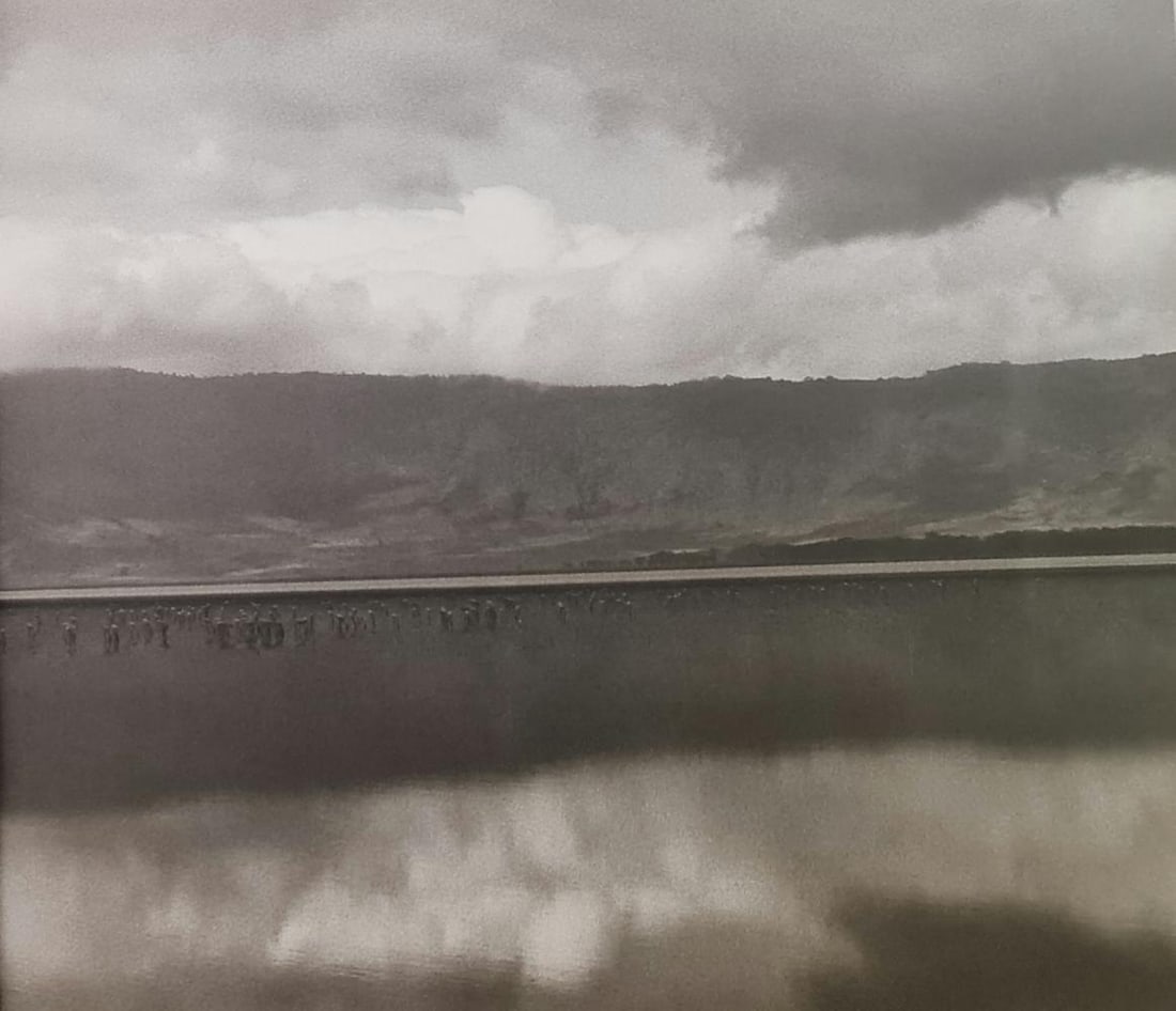 Herb Ritts, Flamingos Reflected, Lake Magadi, Ngorongoro Crater - 2 ...