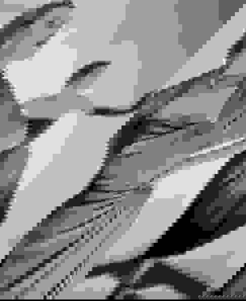 George Platt Lynes, Fashion Photography, 1949 Auction