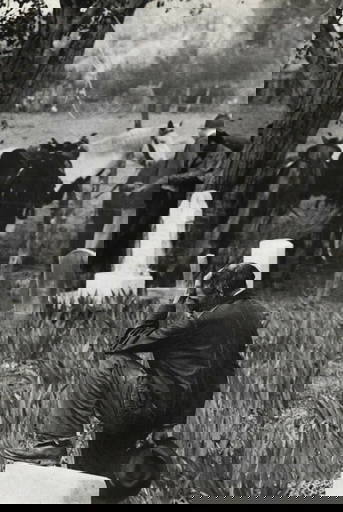 Henri Cartier Bresson, Funeral Mourning Cowboy Cemetery, 1947