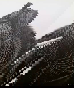 Herb Ritts, Maasai Woman, Cow Dung Dwelling, 1994 Auction