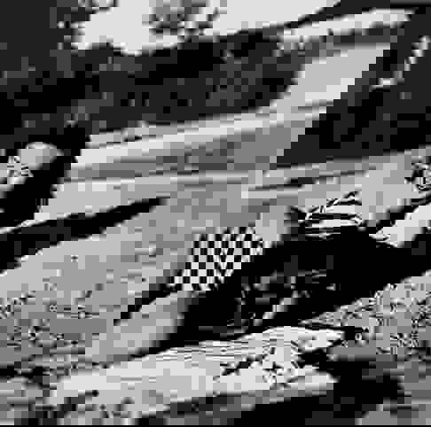 Helmut Newton, June Browne, Inverloch, Australia, 1947 Auction