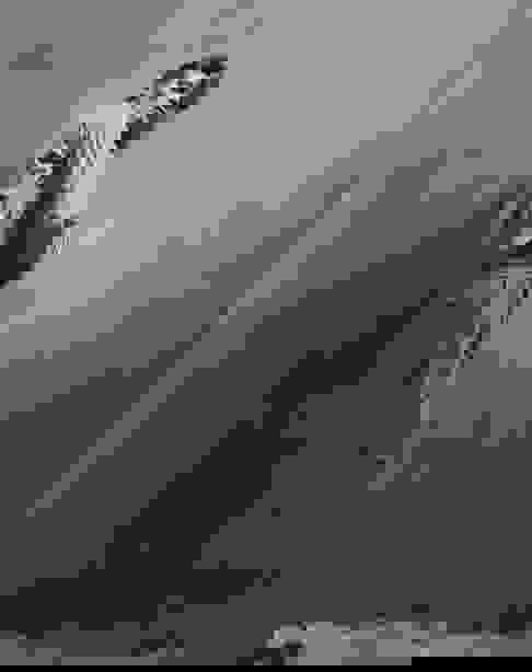 George Platt Lynes, Jonathan Tichenor, 1945 Auction