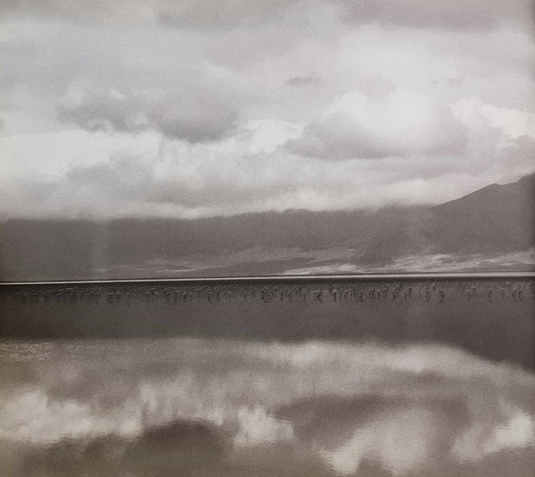 Herb Ritts, Flamingos Reflected, Lake Magadi, Ngorongoro Crater - 1 ...